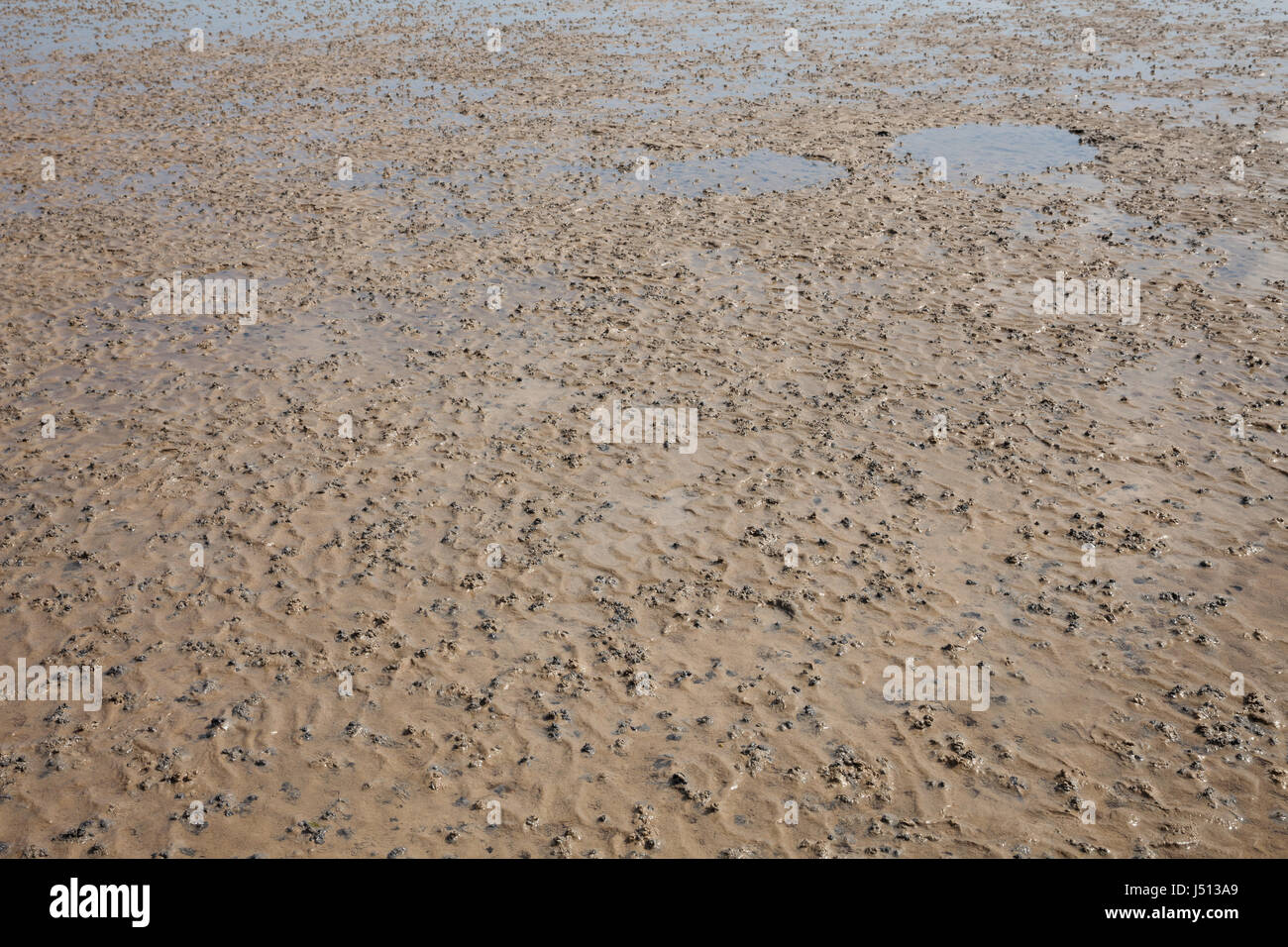 Ebb tide hi-res stock photography and images - Alamy