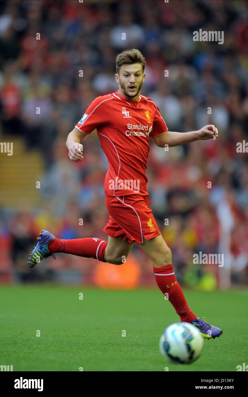 ADAM LALLANA LIVERPOOL FC ANFIELD LIVERPOOL ENGLAND 13 September 2014 ...