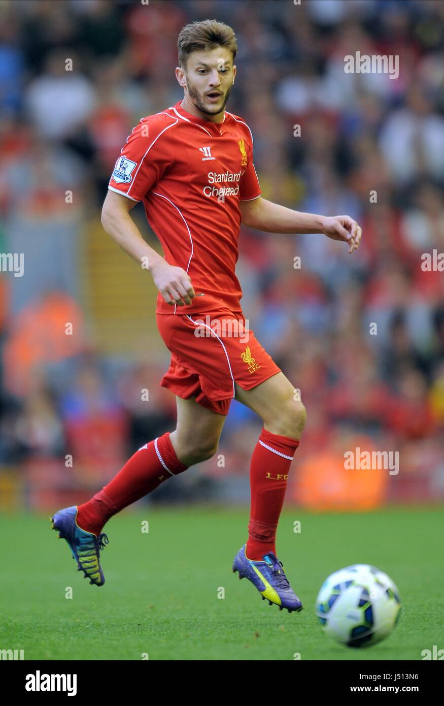 ADAM LALLANA LIVERPOOL FC LIVERPOOL FC ANFIELD LIVERPOOL ENGLAND 13 ...