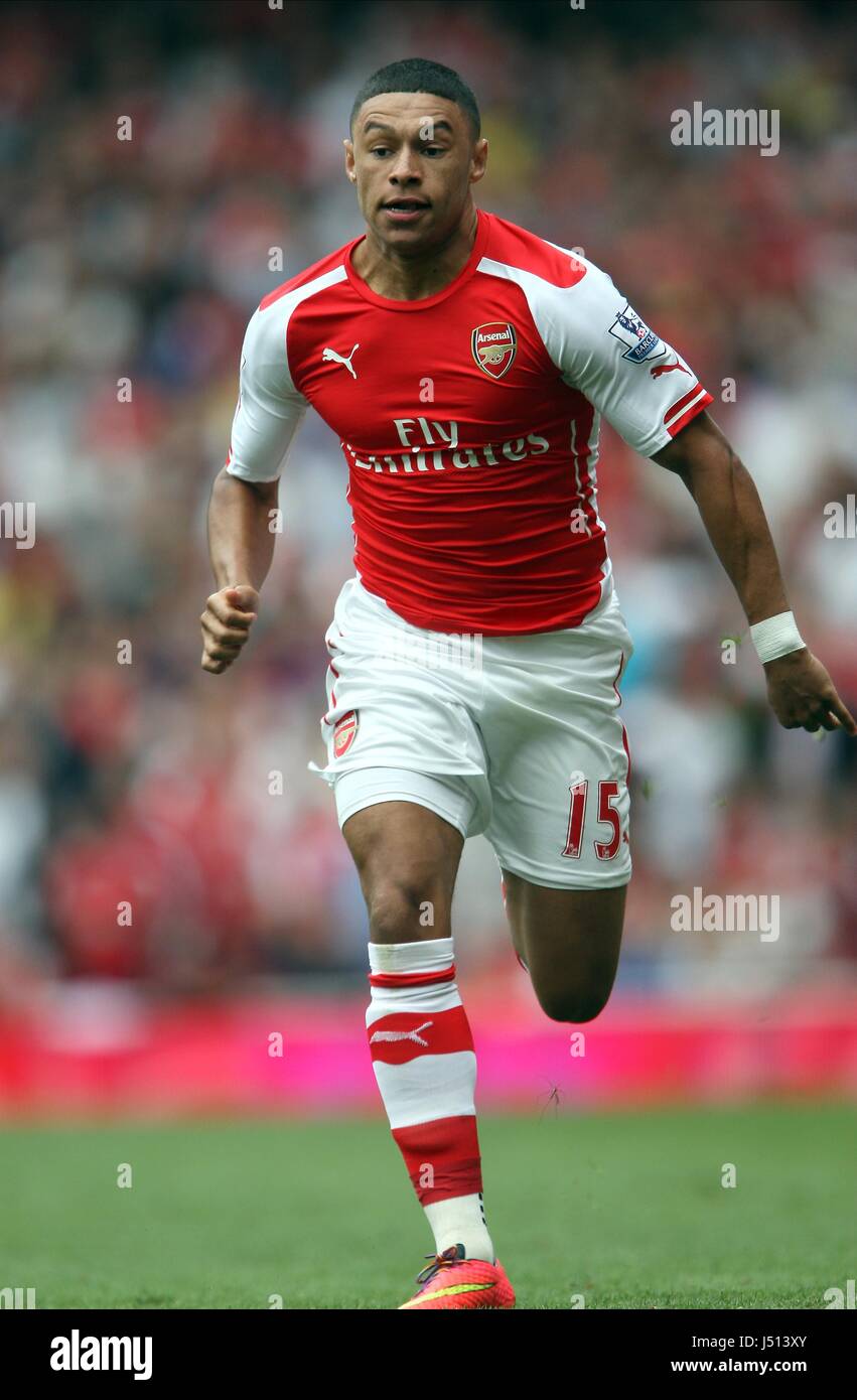 ALEX OXLADE-CHAMBERLAIN ARSENAL FC ARSENAL FC EMIRATES STADIUM LONDON ...