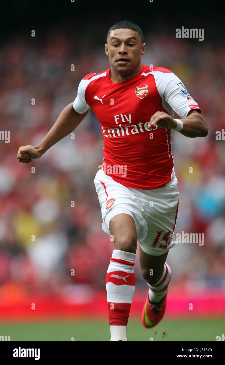 ALEX OXLADE-CHAMBERLAIN ARSENAL FC ARSENAL FC EMIRATES STADIUM LONDON ...