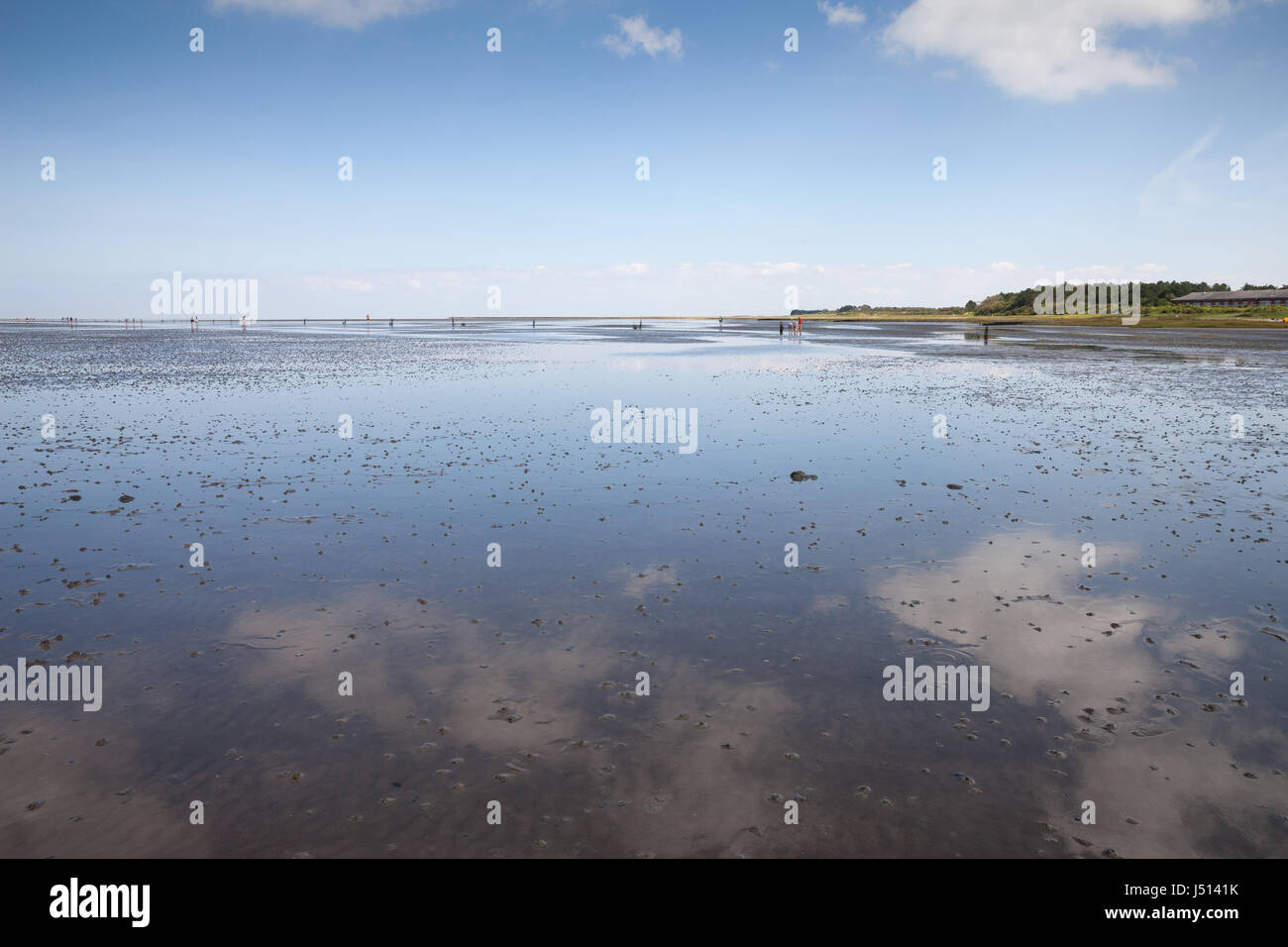 Ebb tide at the national park Stock Photo - Alamy