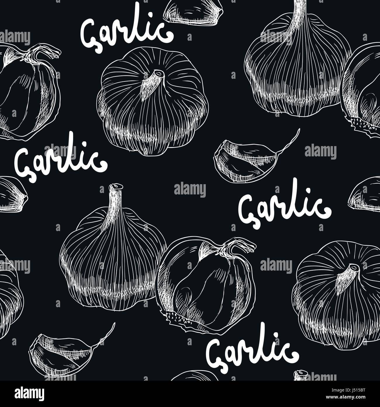 Illustration Garlic High Resolution Stock Photography and Images - Alamy