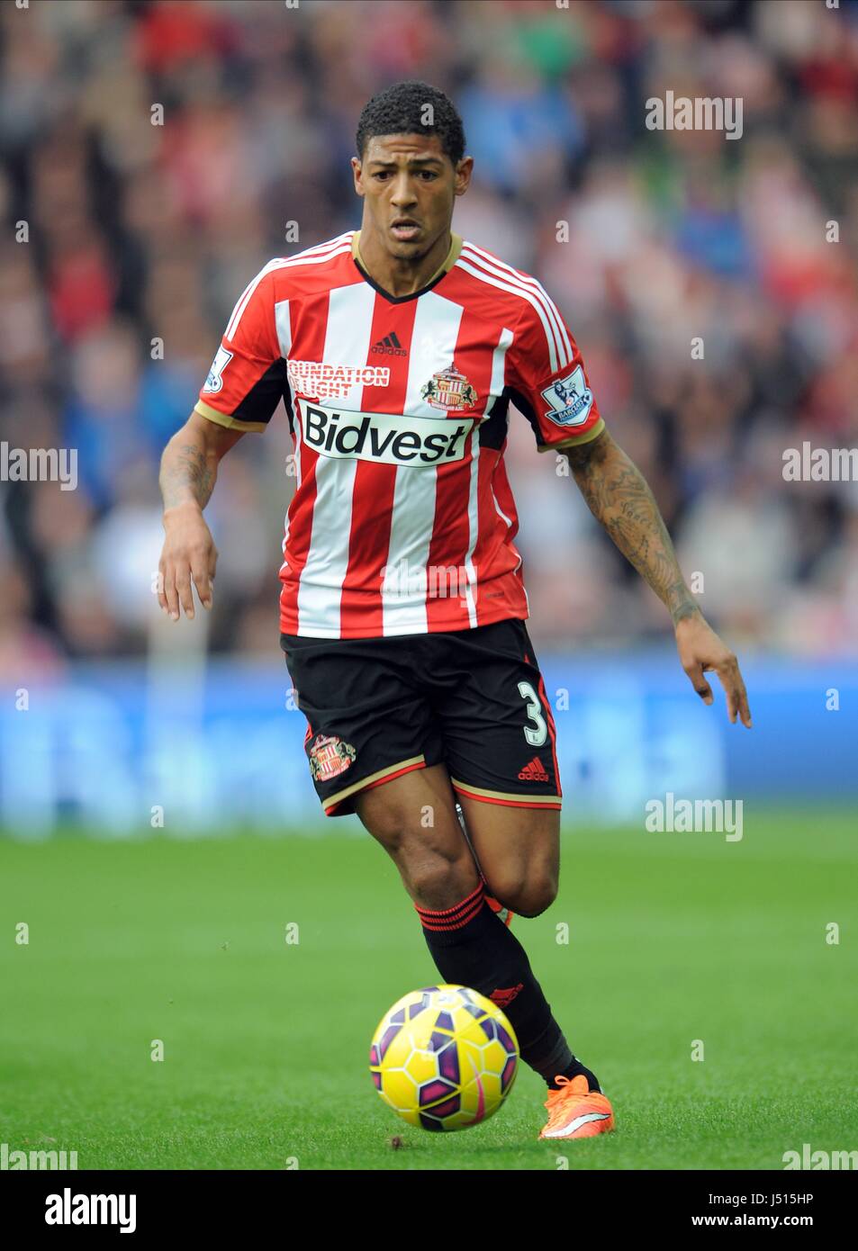 Patrick van aanholt hi-res stock photography and images - Alamy