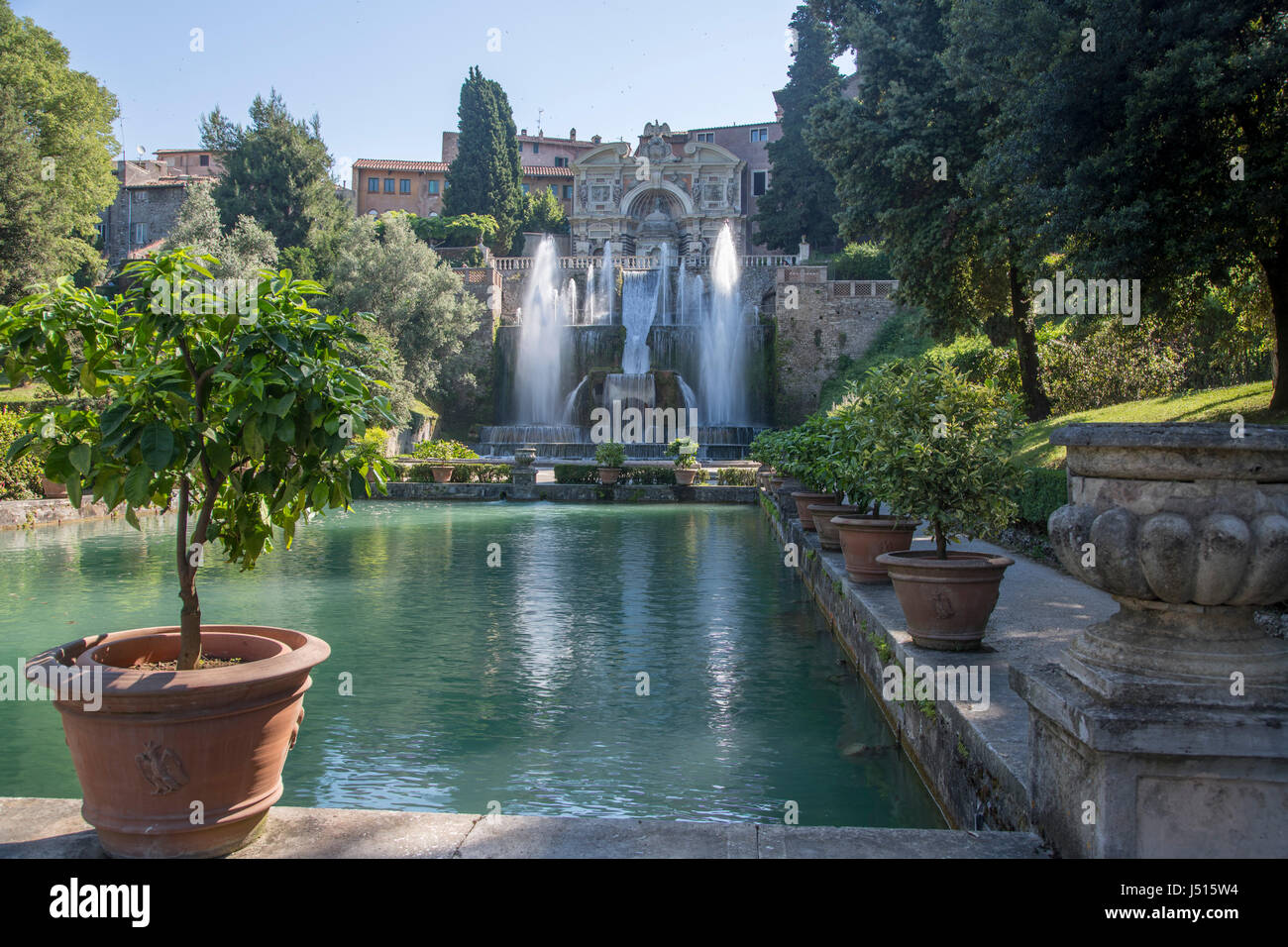 View towards the Fish Ponds, the Fountain of Neptune (Fontana di ...