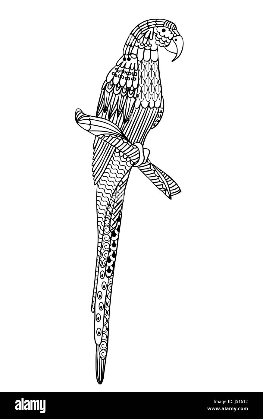 Macaw Drawing High Resolution Stock Photography and Images - Alamy