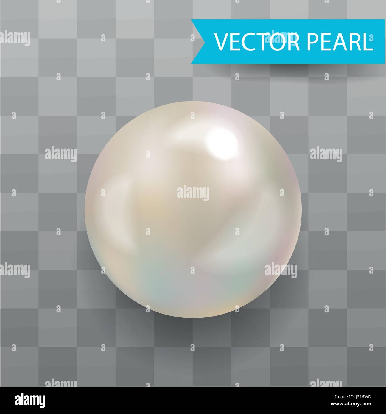 Realistic Vector Pearl . Transparent Background Stock Vector Image ...
