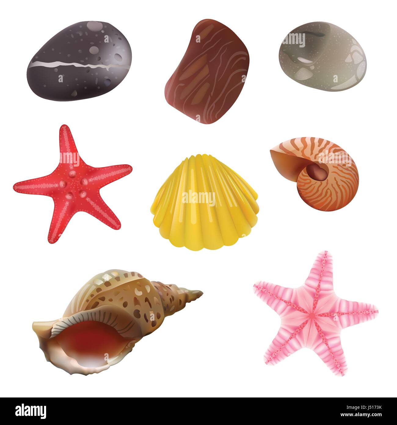 Sea Stones, Sea Shells, Starfish. Isolated Realistic Objects. Vector ...