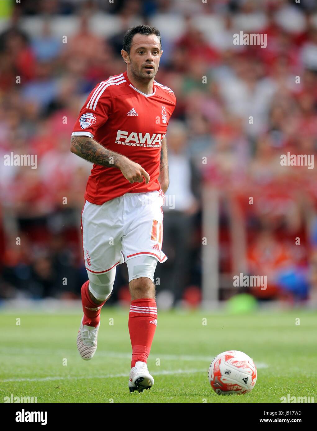 Andy reid nottingham forest hi-res stock photography and images - Alamy