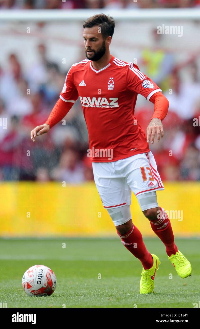 Danny fox forest hi-res stock photography and images - Alamy