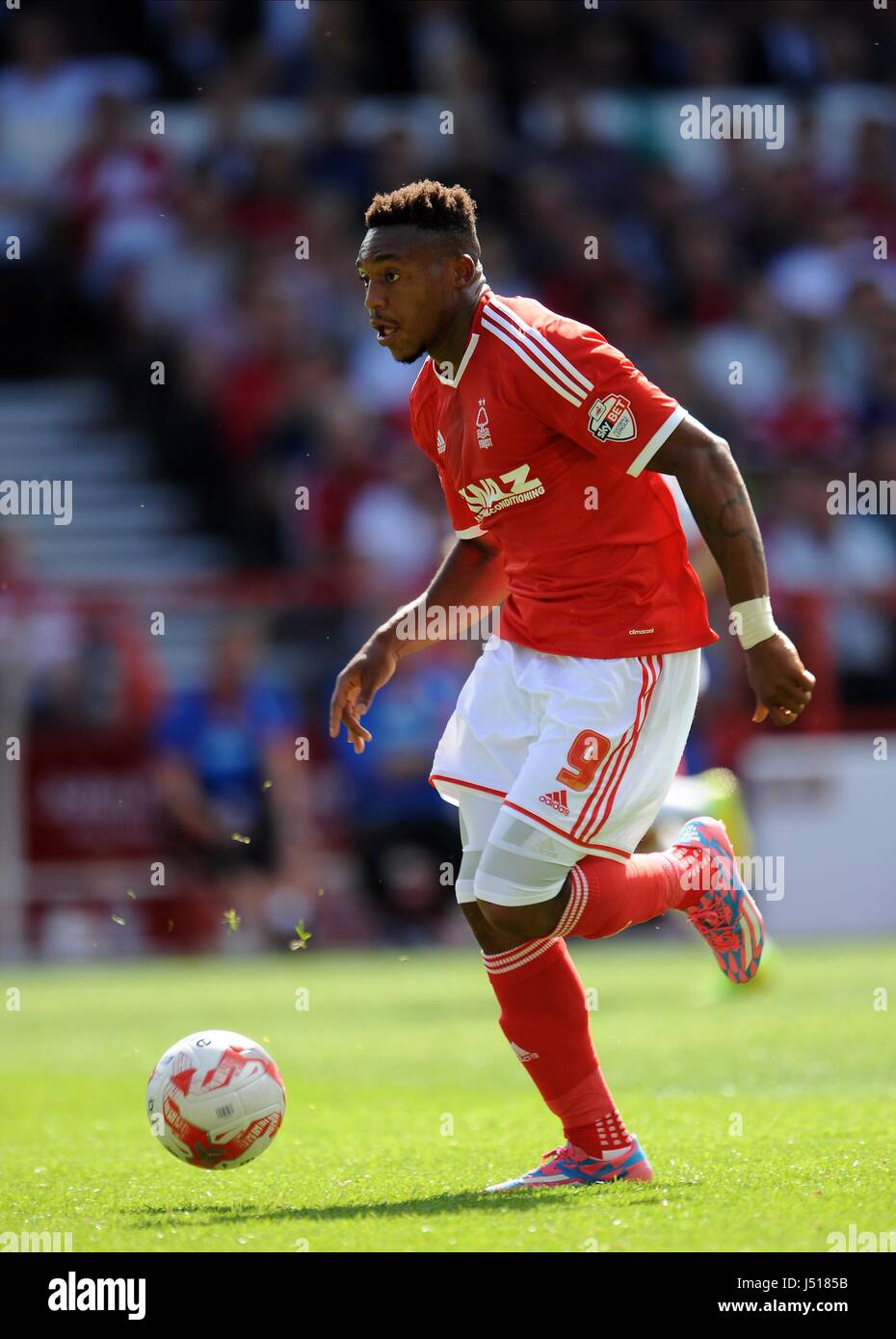 Stuart forrest hi-res stock photography and images - Alamy