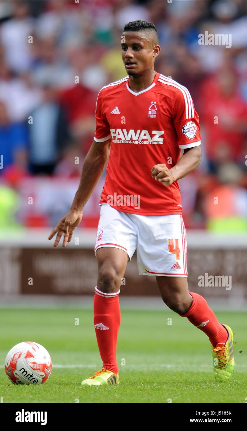 Michael mancienne forest hi-res stock photography and images - Alamy