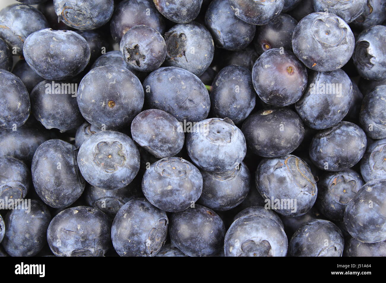 fresh blueberry fruits closeup as a food background texture Stock Photo ...