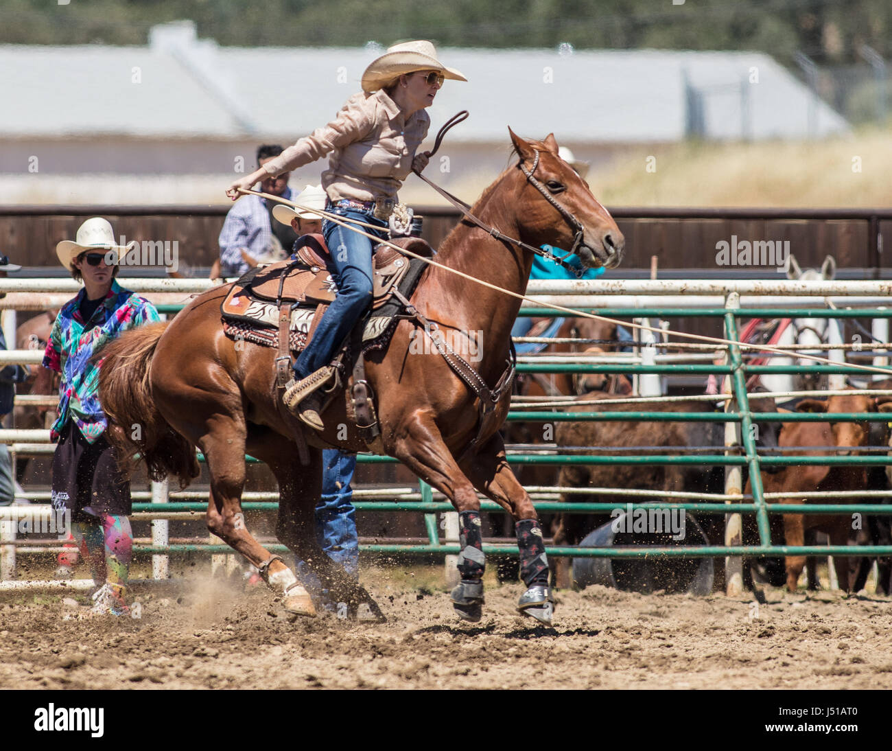 Girl roping calf hi-res stock photography and images - Alamy