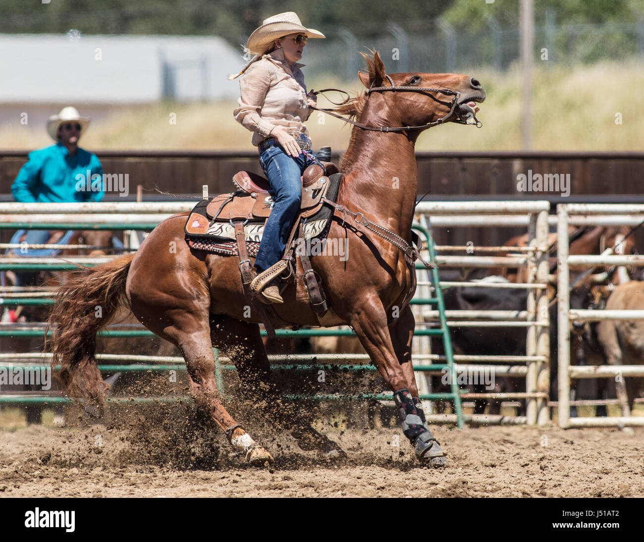 Girl roping calf hi-res stock photography and images - Alamy