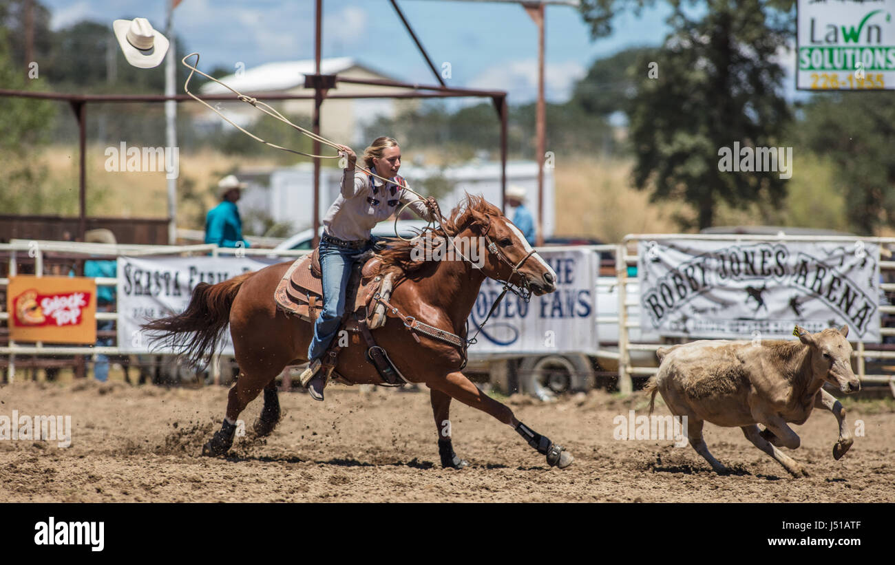 Girl roping calf hi-res stock photography and images - Alamy
