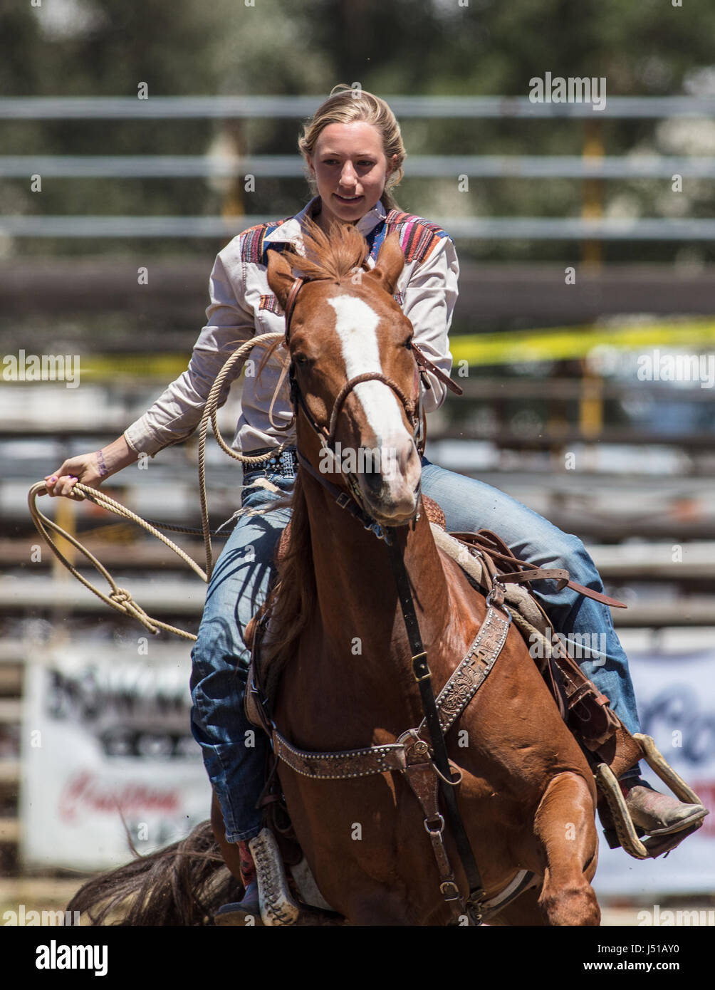 Girl roping calf hi-res stock photography and images - Alamy