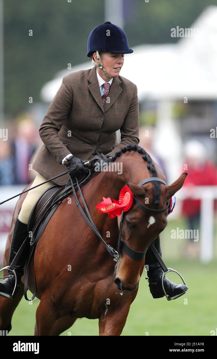 Barbers shop horse High Resolution Stock Photography and Images - Alamy