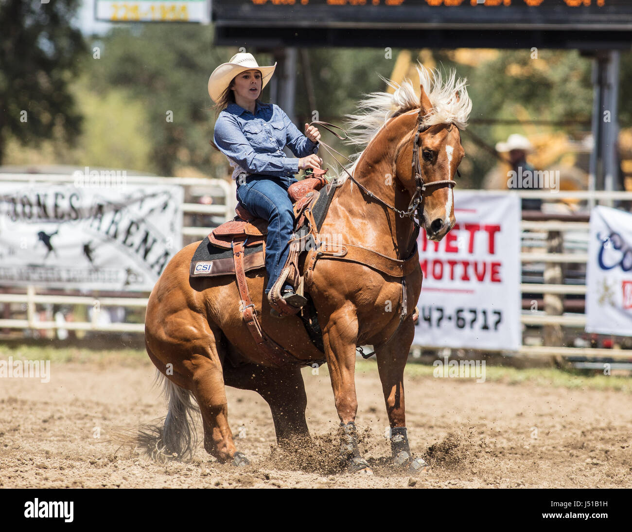 Girl roping calf hi-res stock photography and images - Alamy