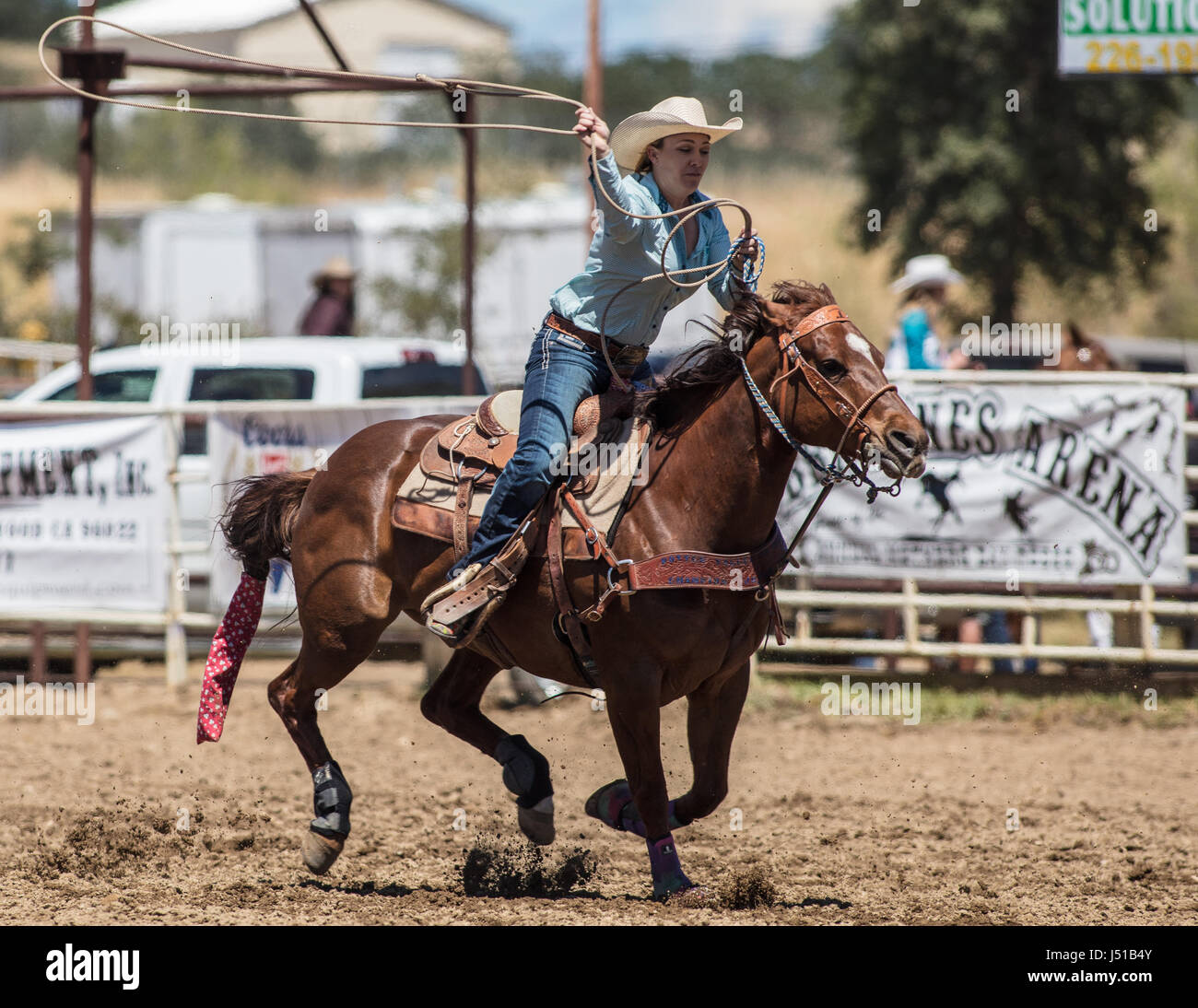 Girl roping calf hi-res stock photography and images - Alamy