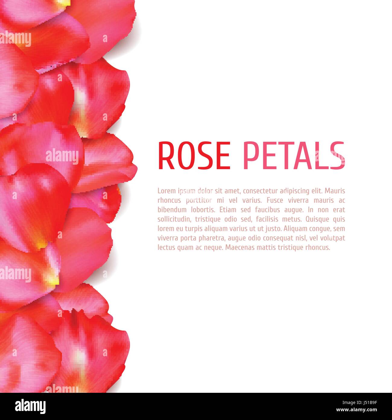 Rose petals border Stock Vector Image & Art - Alamy