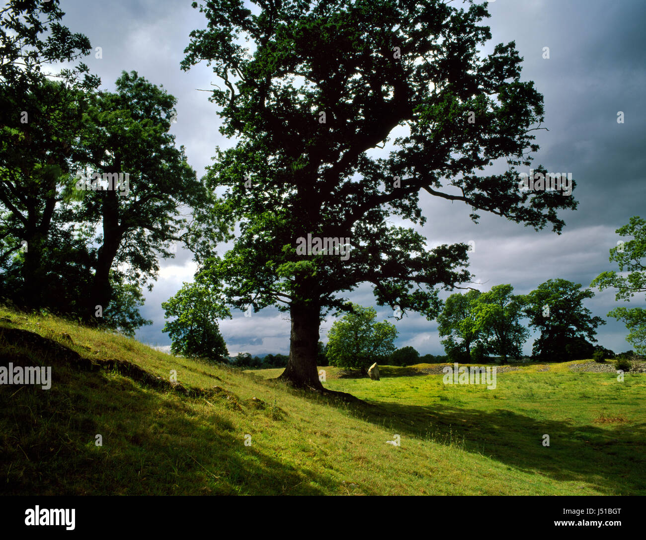 Neolithic ceremonial enclosure hi-res stock photography and images - Alamy