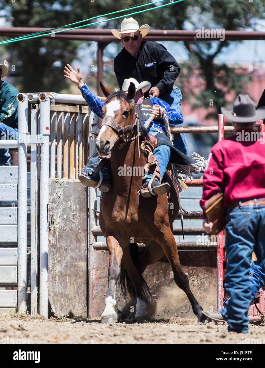 Bronc horse rodeo west western cowboy hi-res stock photography and ...