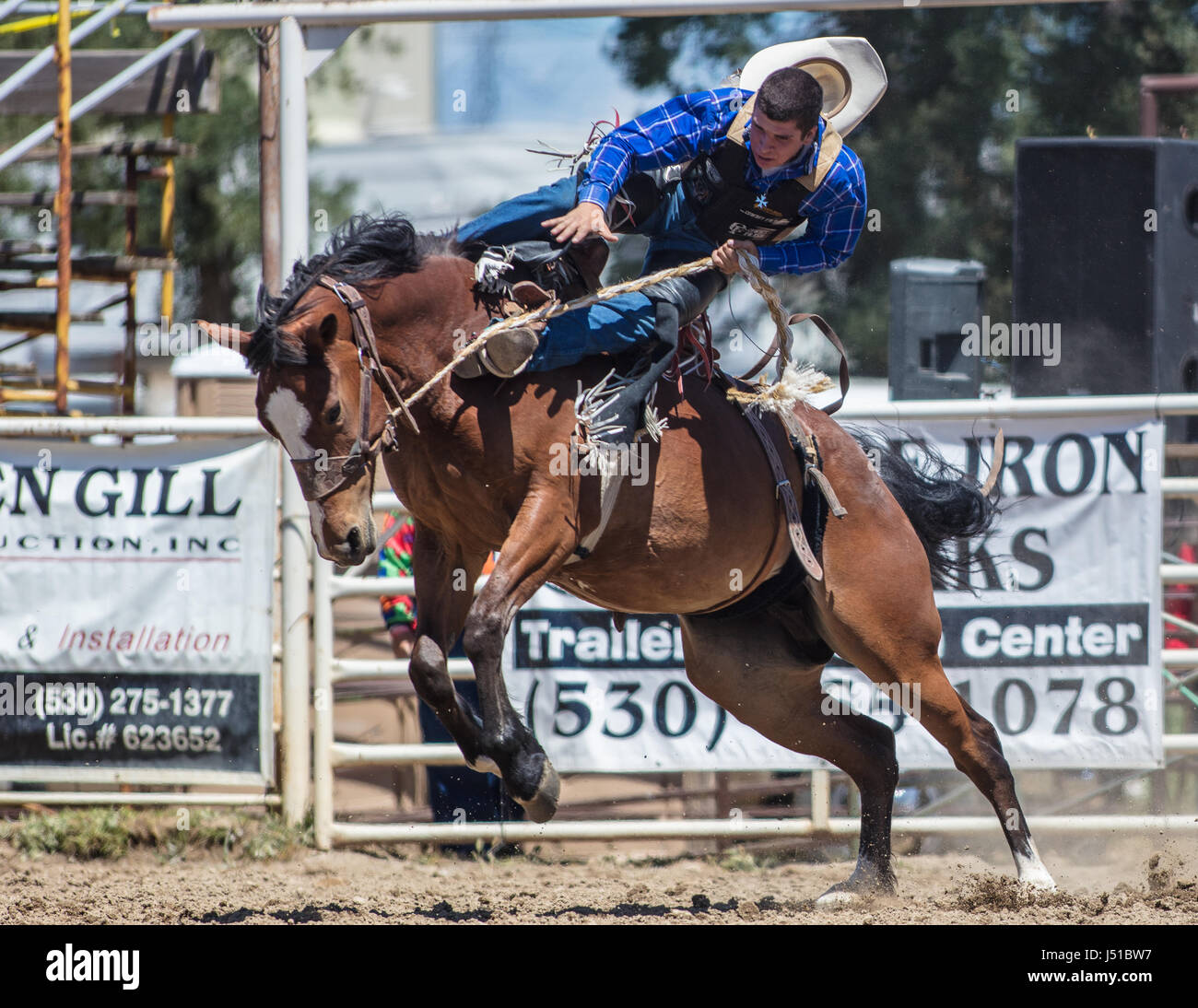 Saddleback bronc riding action at the rodeo in Cottonwood, California ...