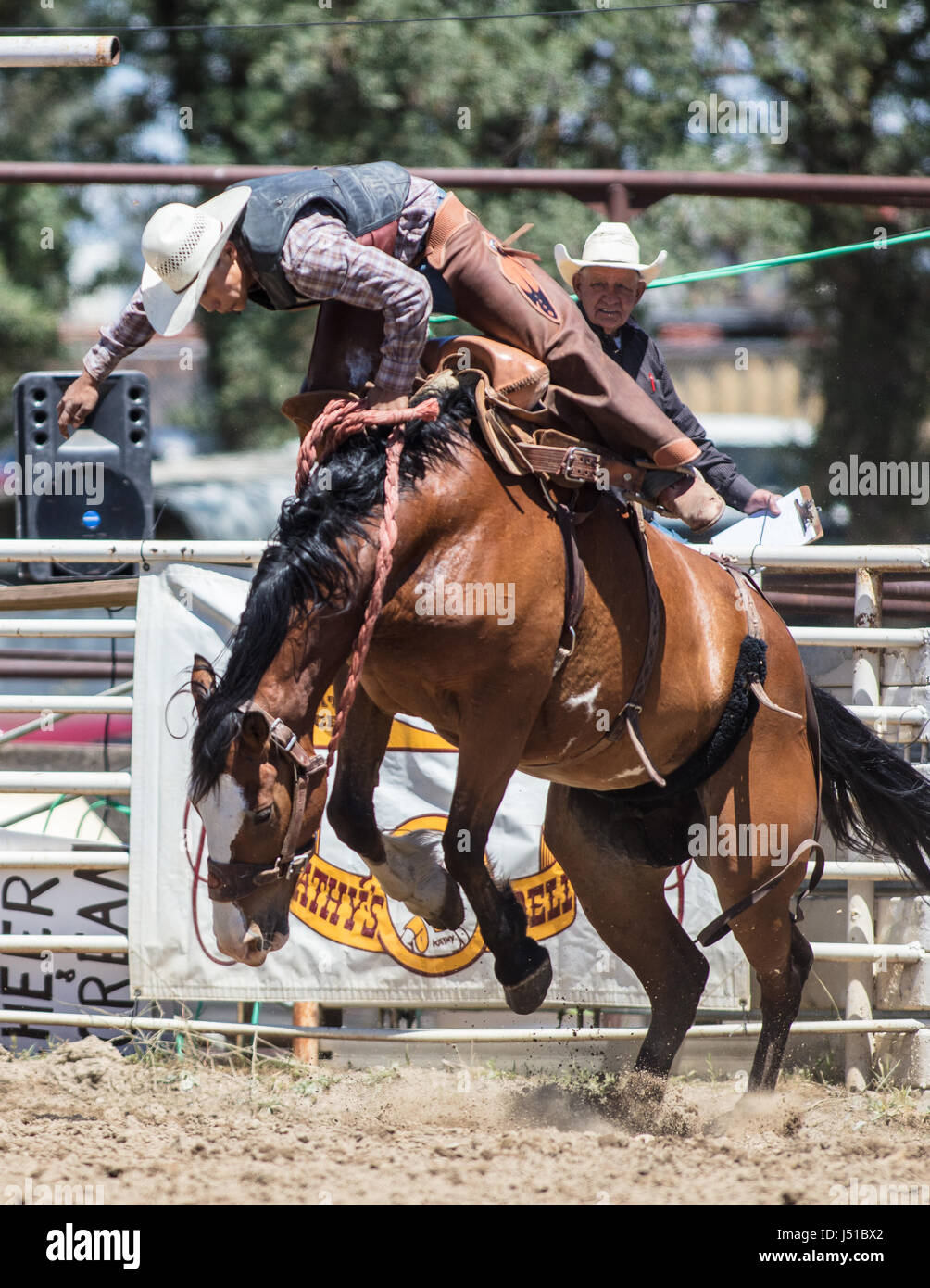 Bronc horse rodeo west western cowboy hi-res stock photography and ...