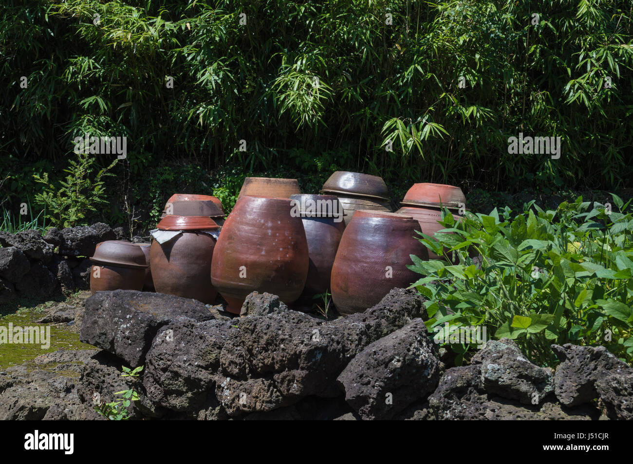 Traditional jars used for storing kimchi Stock Photo - Alamy
