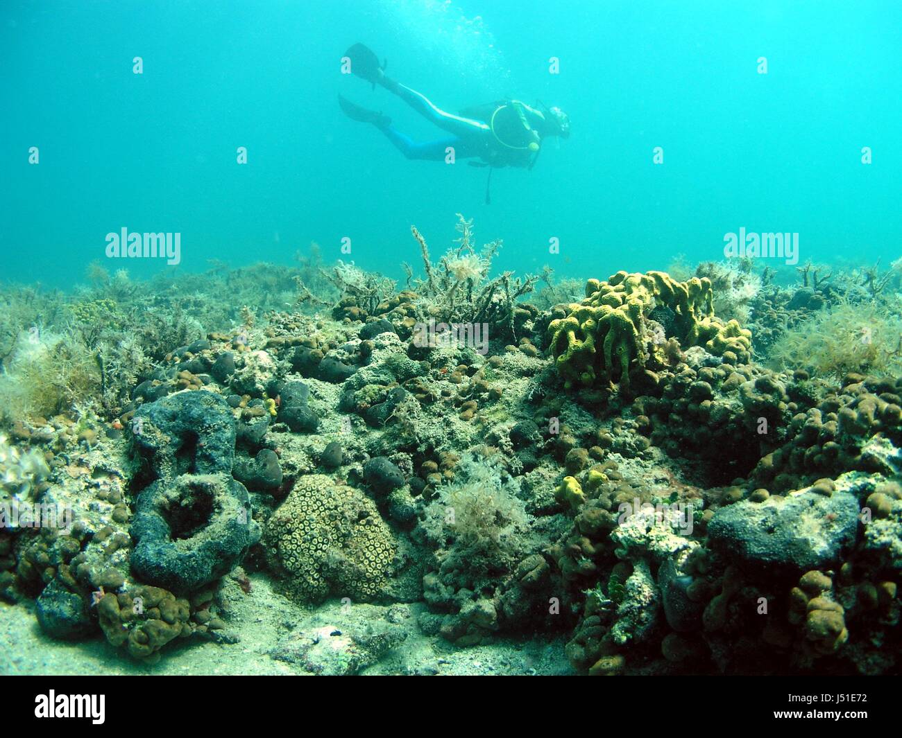 blue water mediterranean salt water sea ocean wide angle underwater ...