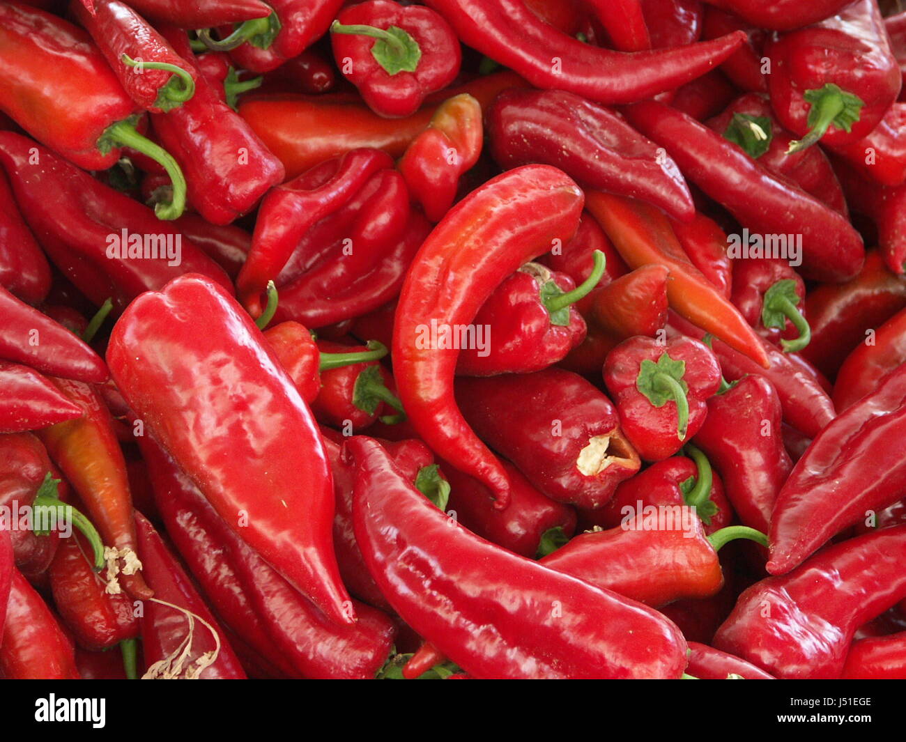 detail plant progenies fruits vegetable pepperoni weekly market ...