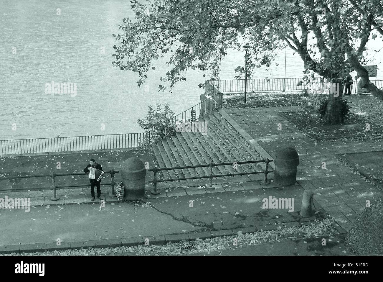 humans human beings people folk persons human human being music ...