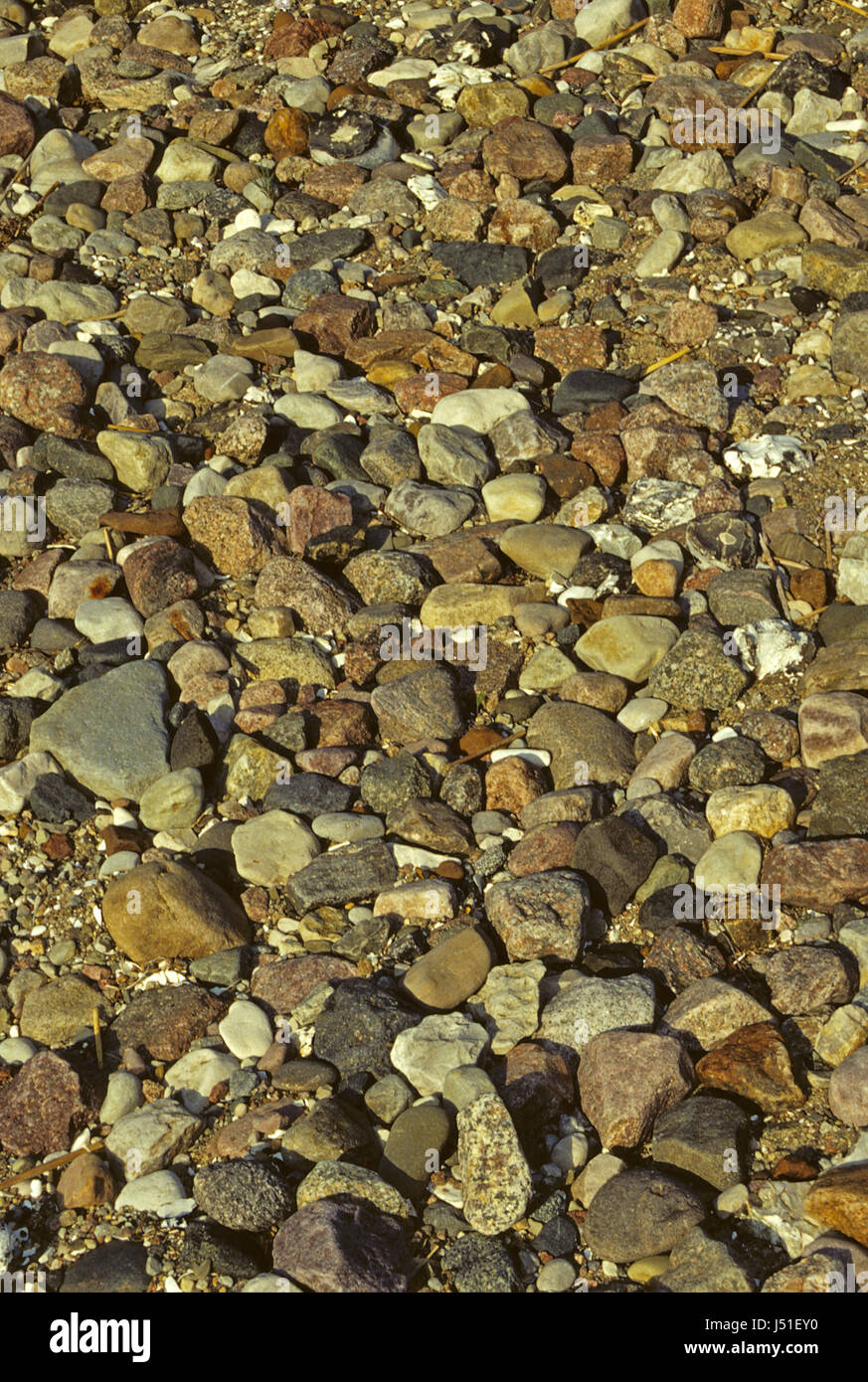 beach seaside the beach seashore scree water baltic sea salt water sea ...