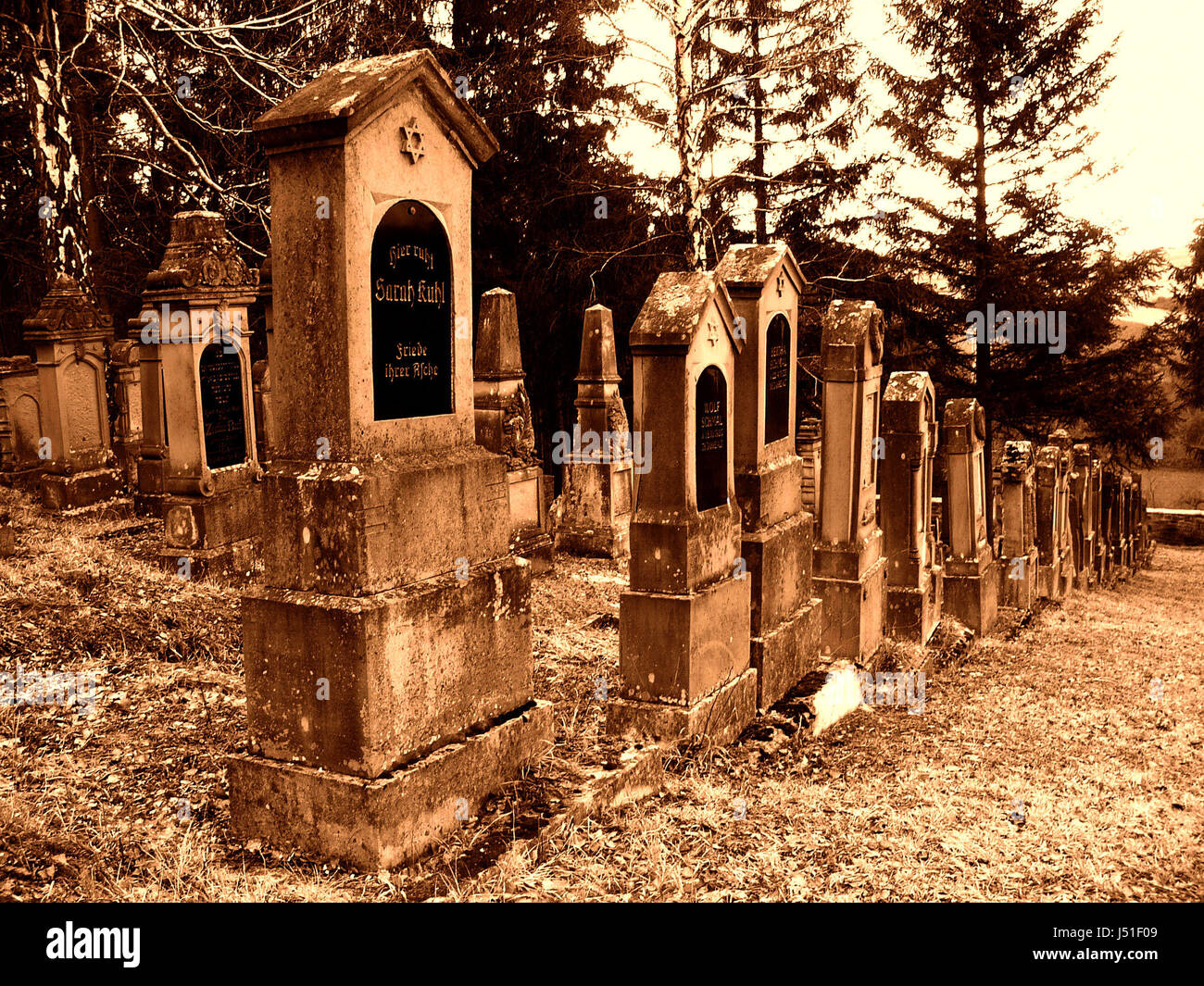 tree trees sepia counter-light burial-place graves tombstones grave ...