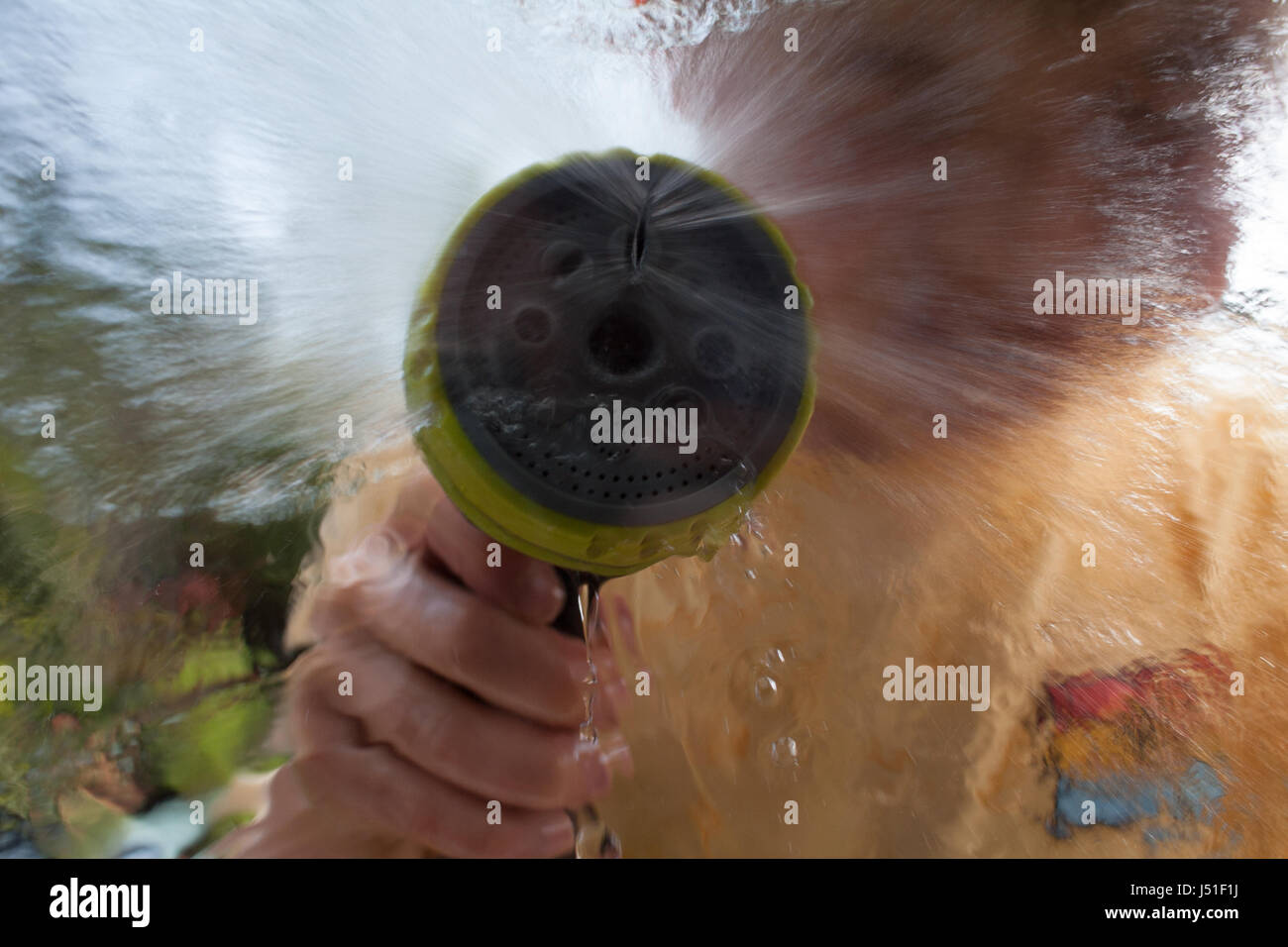 Child spraying water with a garden hose Stock Photo - Alamy
