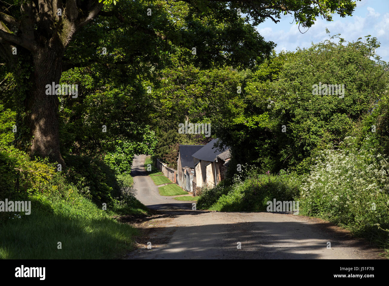 Longdown devon hi-res stock photography and images - Alamy