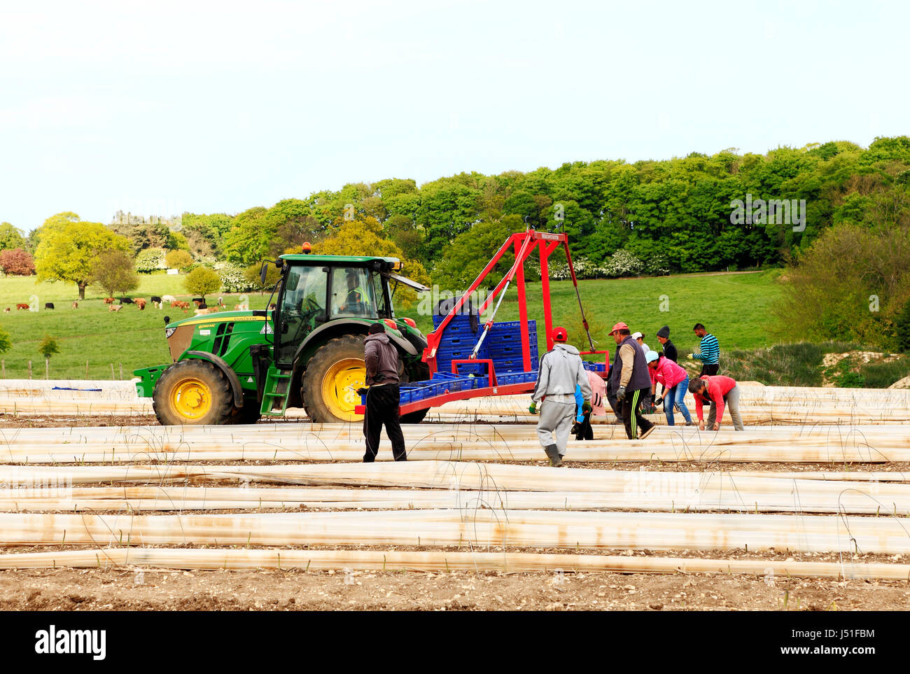 Labourers hi-res stock photography and images - Alamy