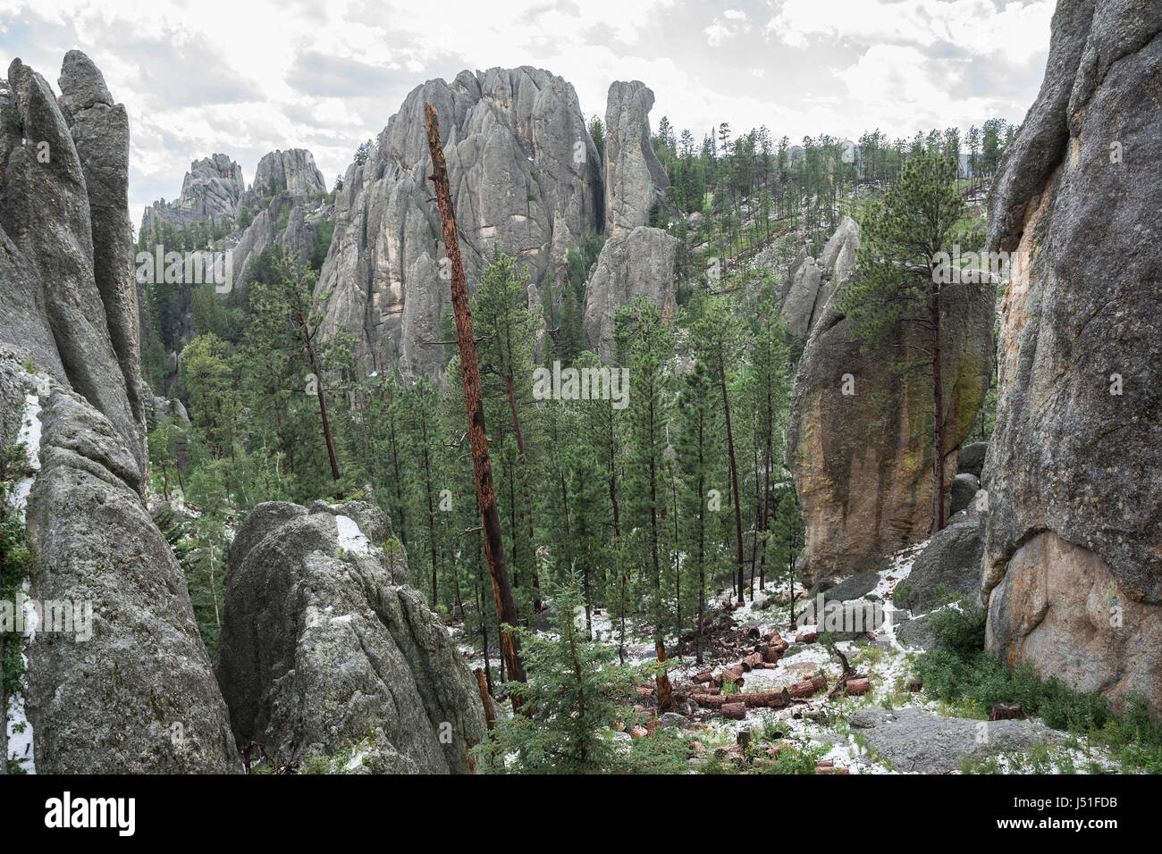 Rock formations along Needles Highway with hail from a recent storm, in ...