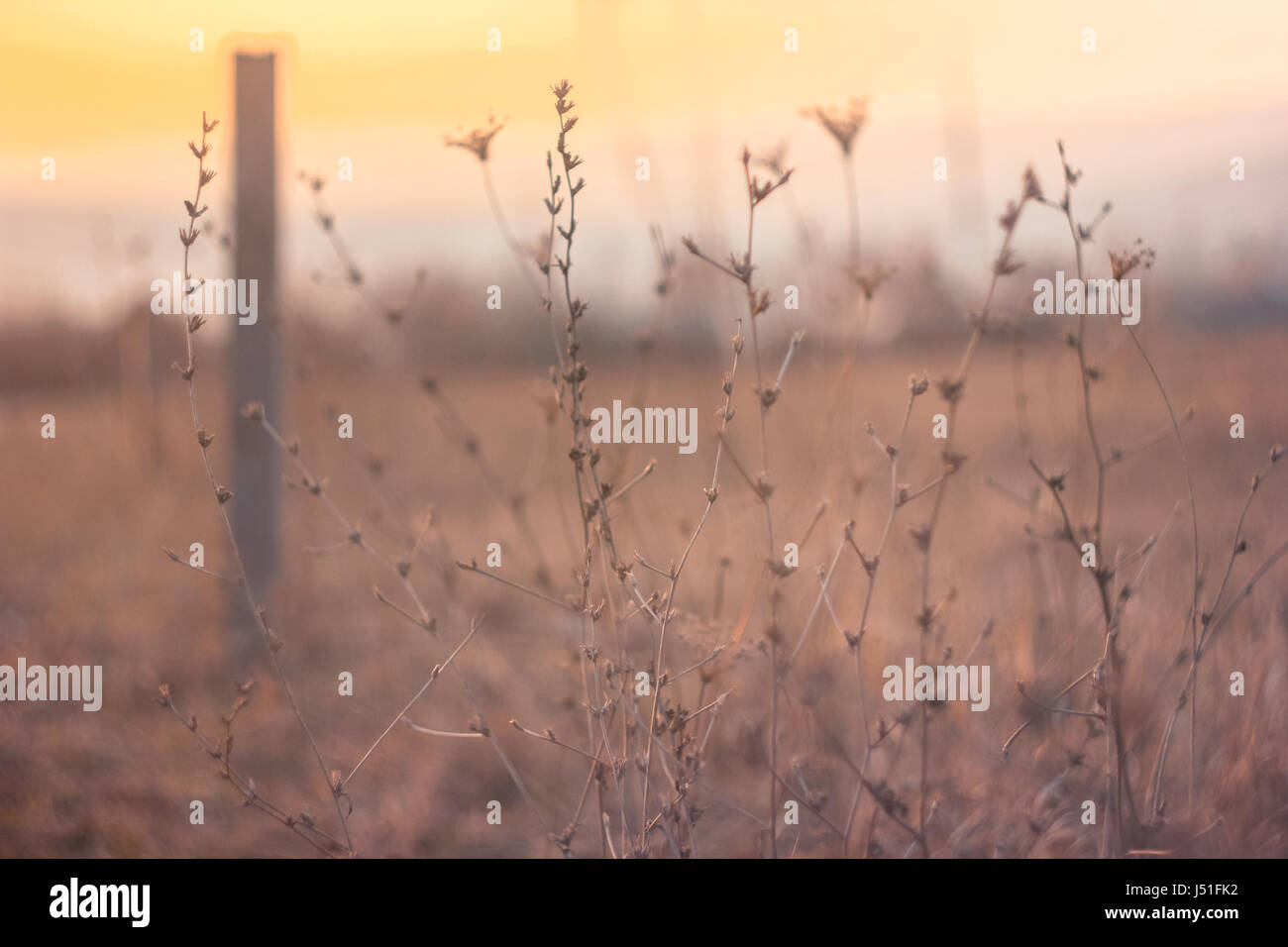 Geography dry nature hi-res stock photography and images - Alamy