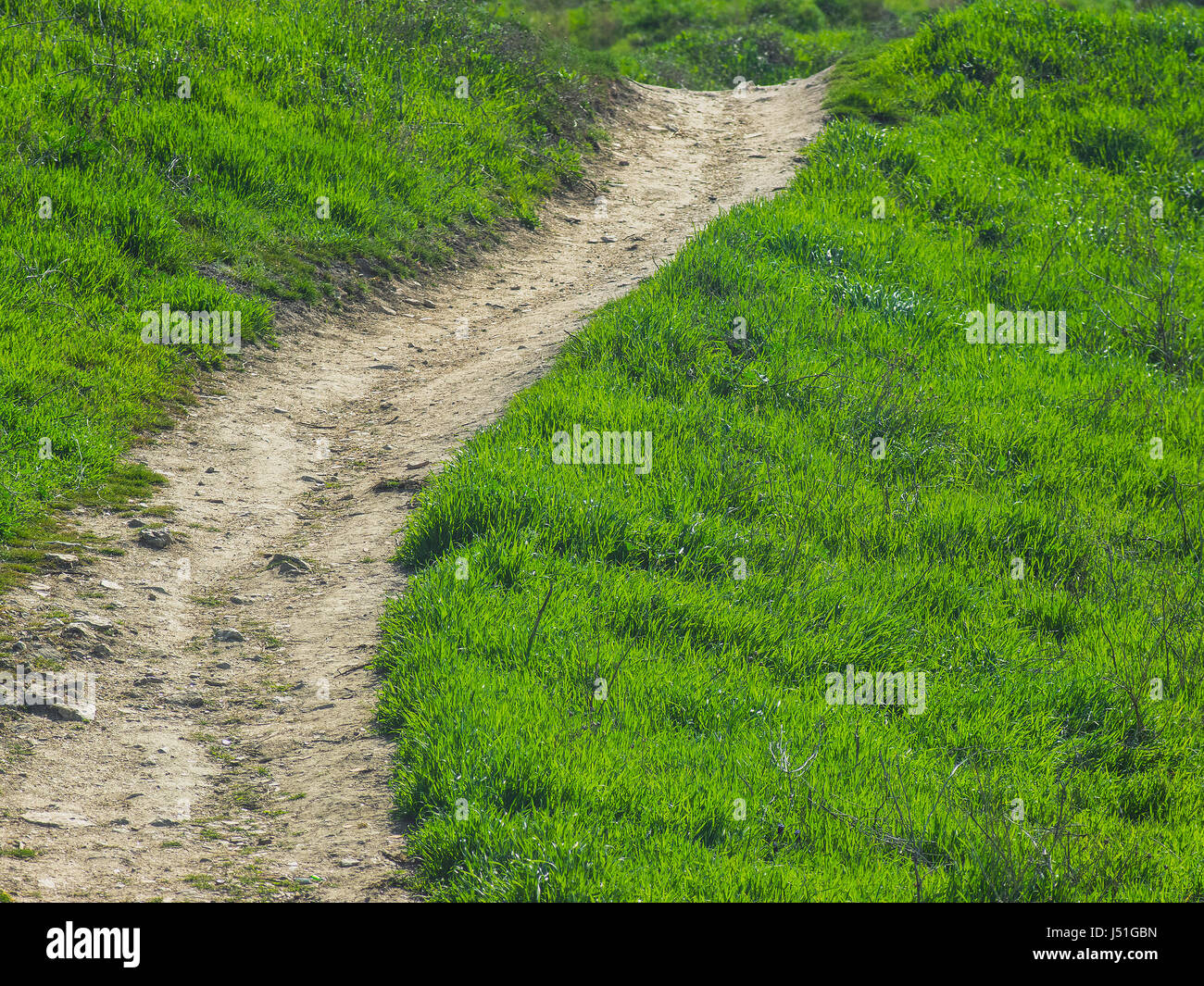 A long path among the green mountains Stock Photo - Alamy