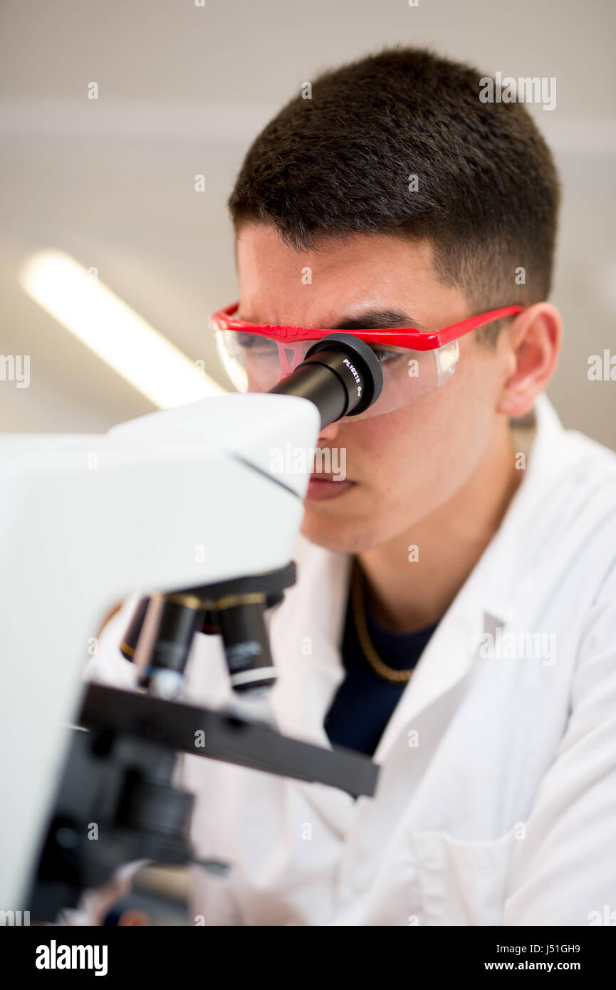 Scientist looking through a microscope Stock Photo - Alamy