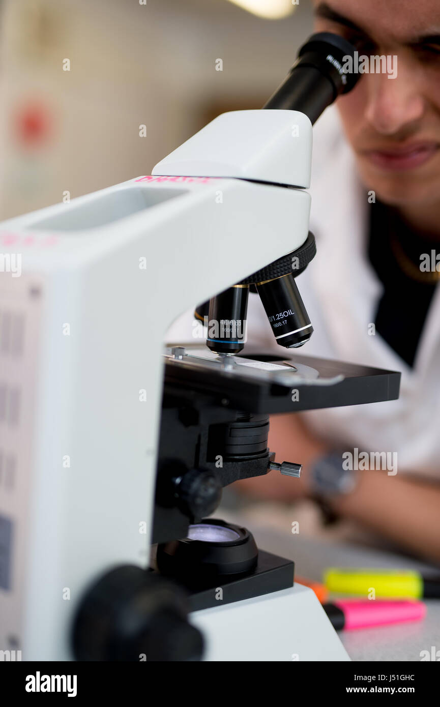 Scientist looking through a microscope Stock Photo - Alamy