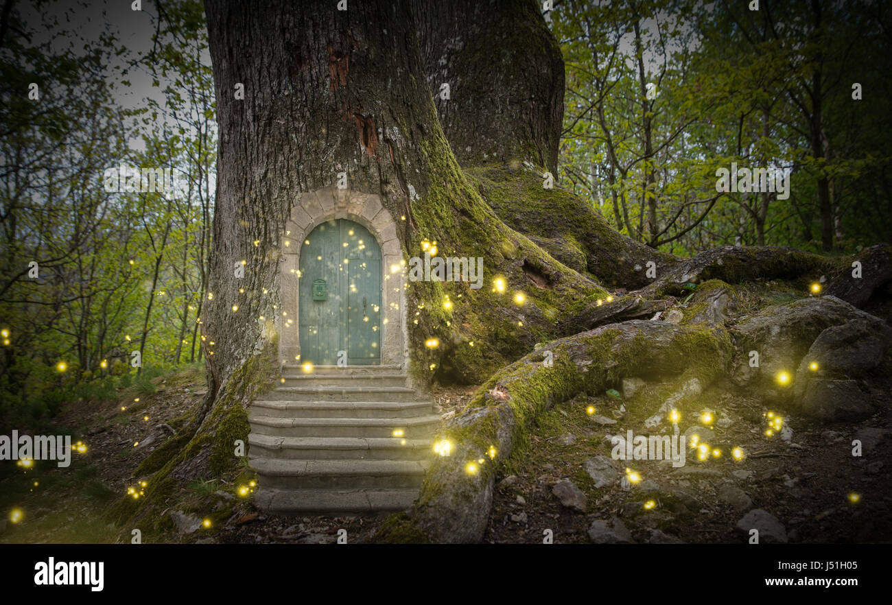 Fairy tree house hi-res stock photography and images - Alamy