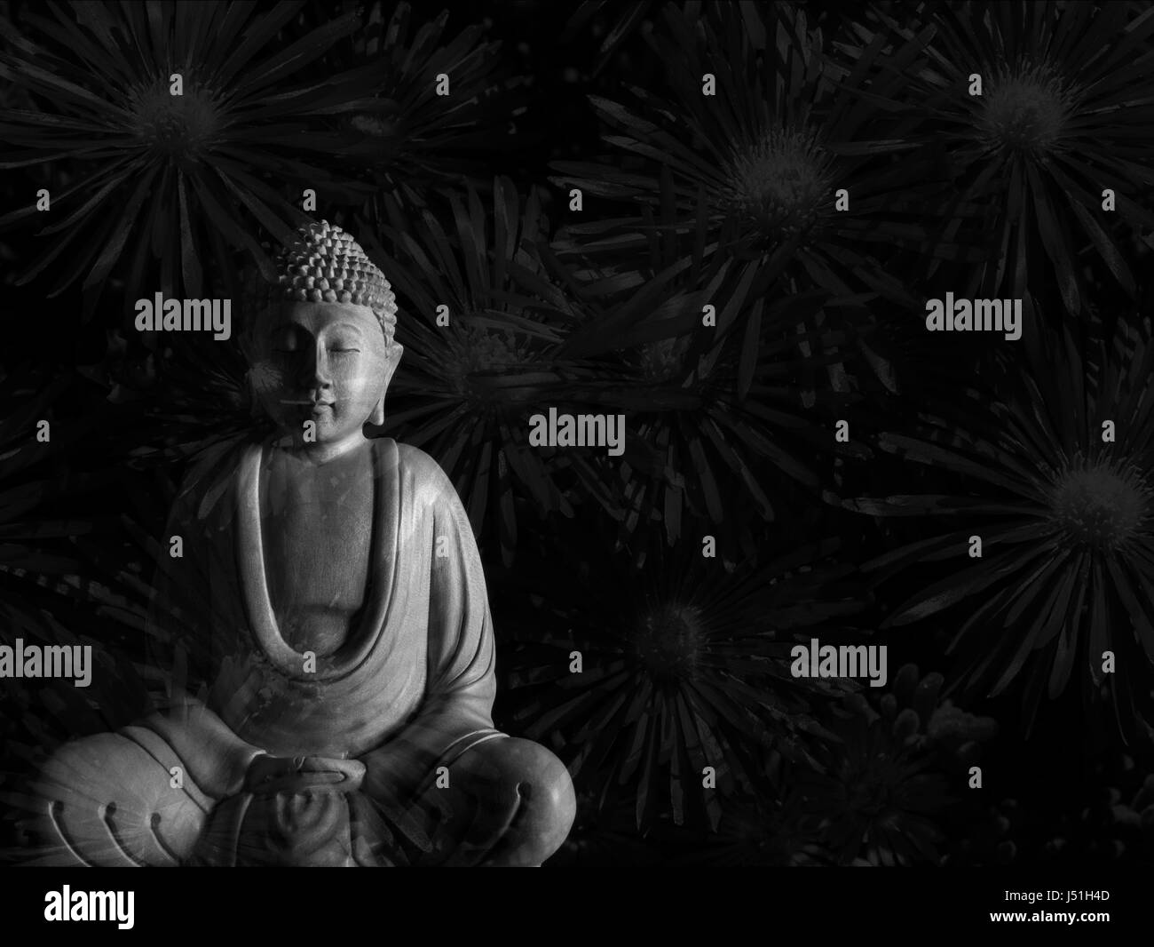 Amitabha Buddha Wallpaper Hd