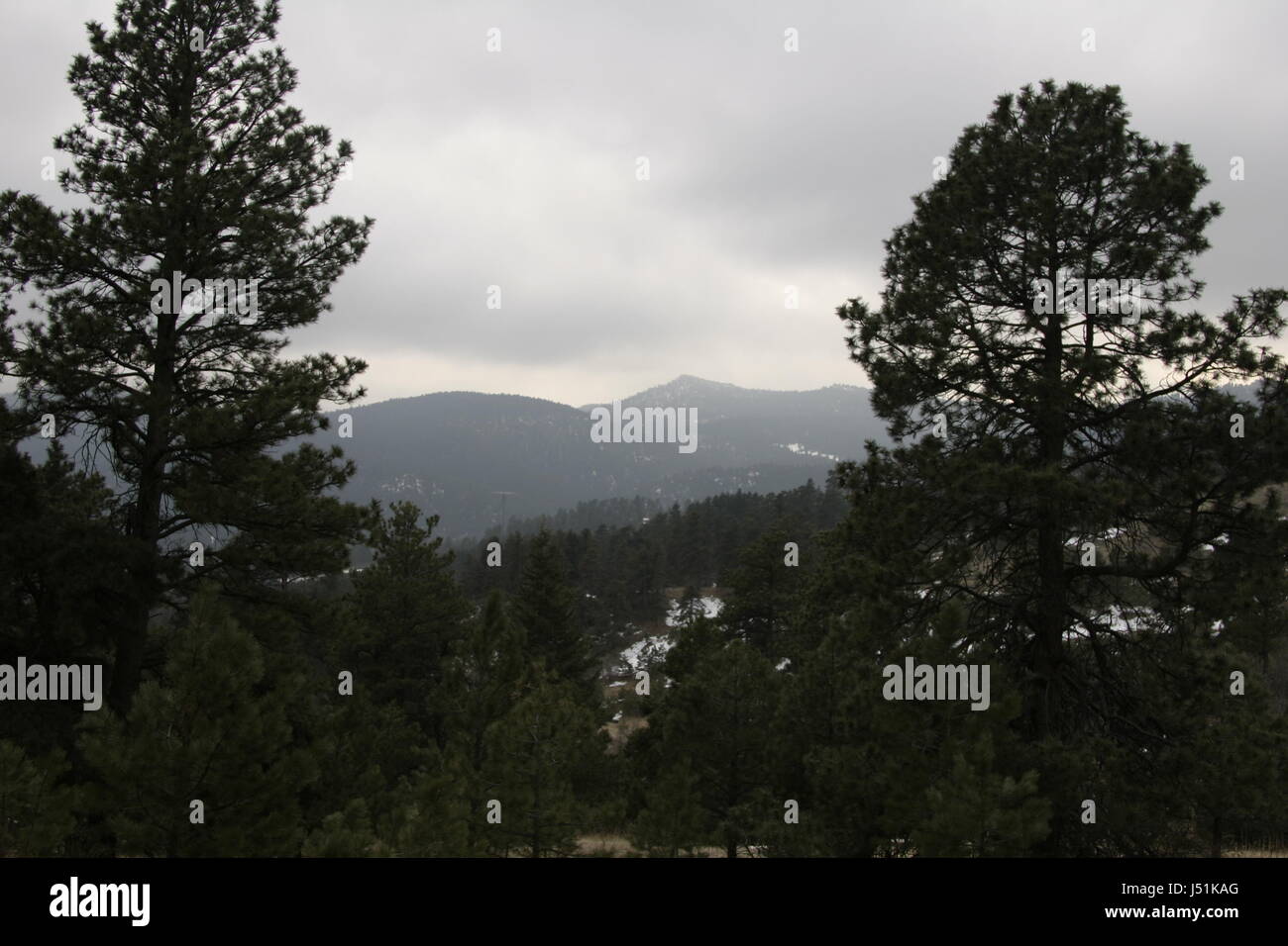 Falcon colorado scenery - conceptslery