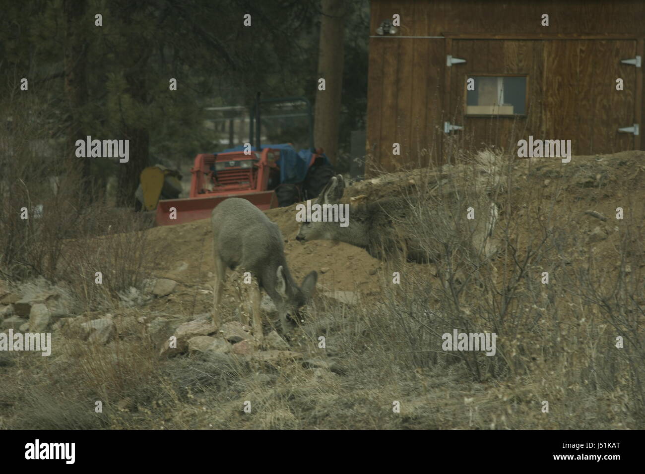 Mount Falcon Colorado High Resolution Stock Photography and Images - Alamy