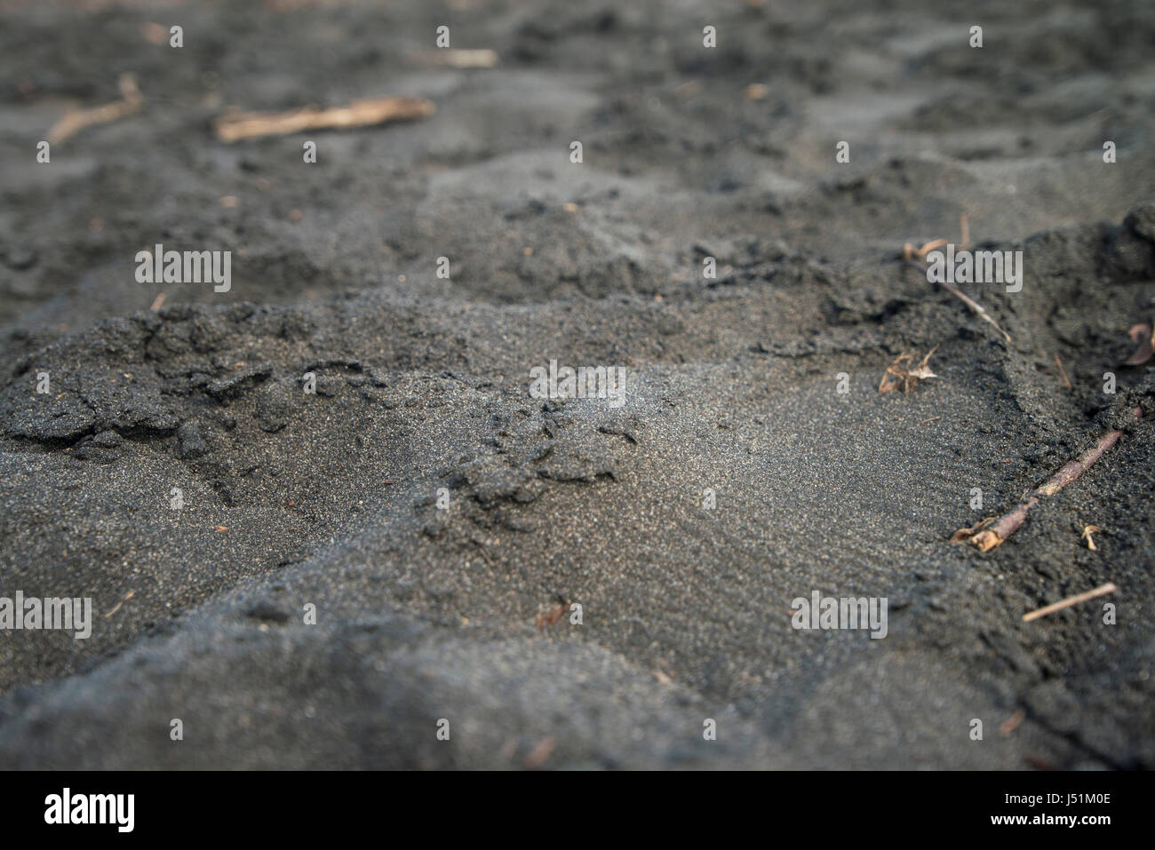 dark volcanic sand on the beach Stock Photo - Alamy