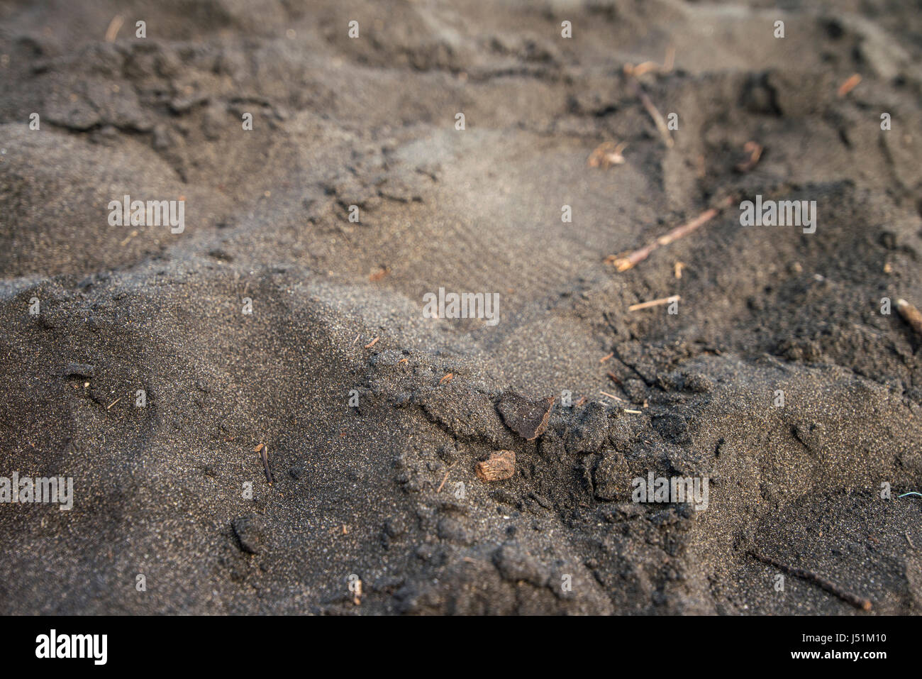 dark volcanic sand on the beach Stock Photo - Alamy