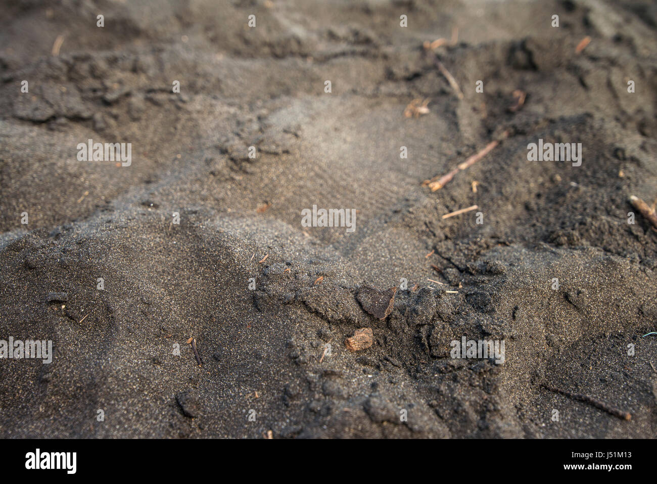 dark volcanic sand on the beach Stock Photo - Alamy